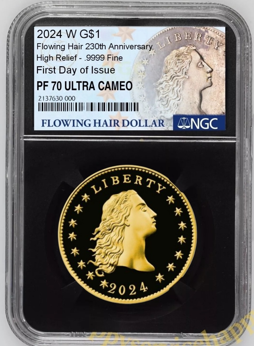 2024 W Flowing Hair Proof Gold Coin 230th, NGC PF70 High Relief PR70 ...