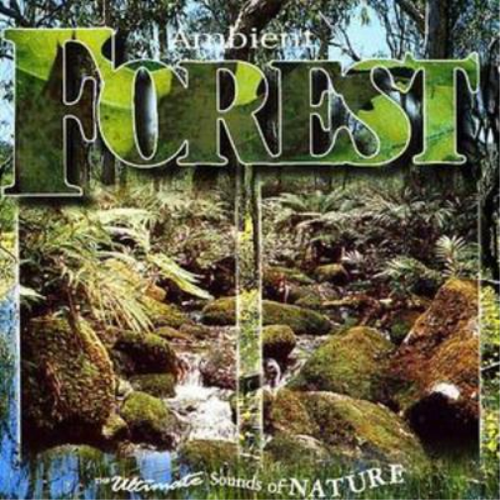 Ambient Forest (CD) Album 5021364410620 | eBay