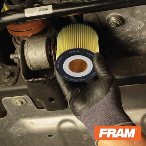 FRAM Extra Guard CH10358 - Filtro de aceite 1 Count (Pack of 1 ...