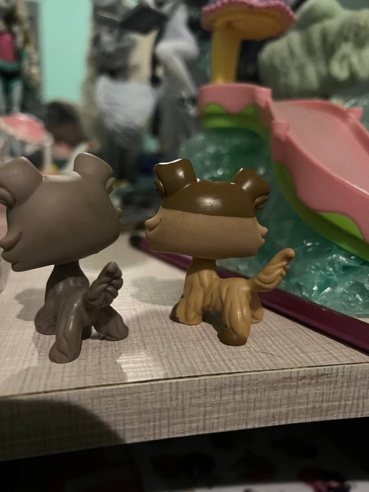 lps littlest pet shop hasbro lot of 2 pc collie 893 67 | eBay