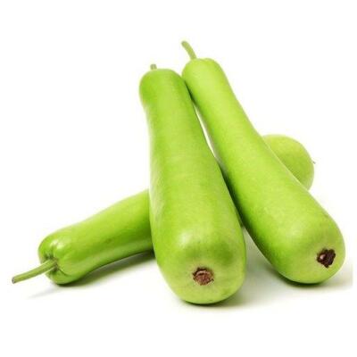 100% Organic Calabash Long Bottle Gourd seeds po gua, dudhi, lauki 10 ...