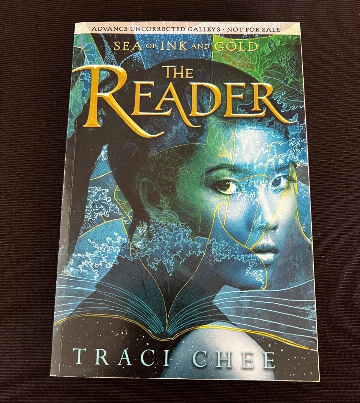 The Reader (The Reader Trilogy #1) by Traci Chee, ARC, 08/2016, New | eBay