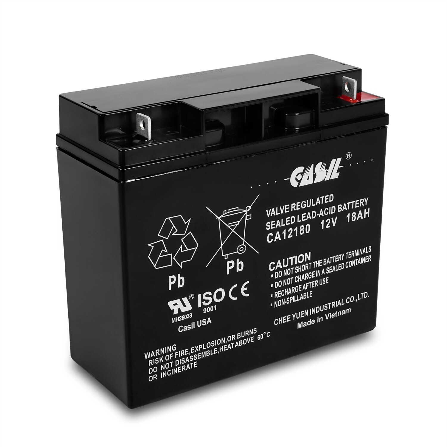 Casil 12V 18AH T1 for 17Ah MK Battery ES17-12, ES 1 | eBay