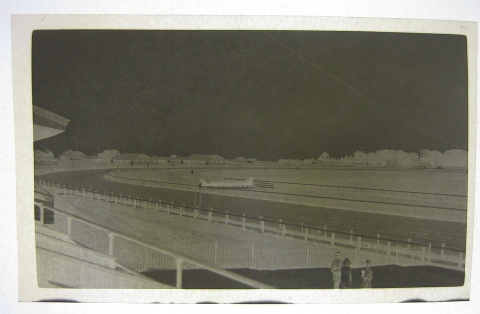 1910s Horse Racetrack Women Man Barn Flapper Vtg Photo Negative 5.75 X ...