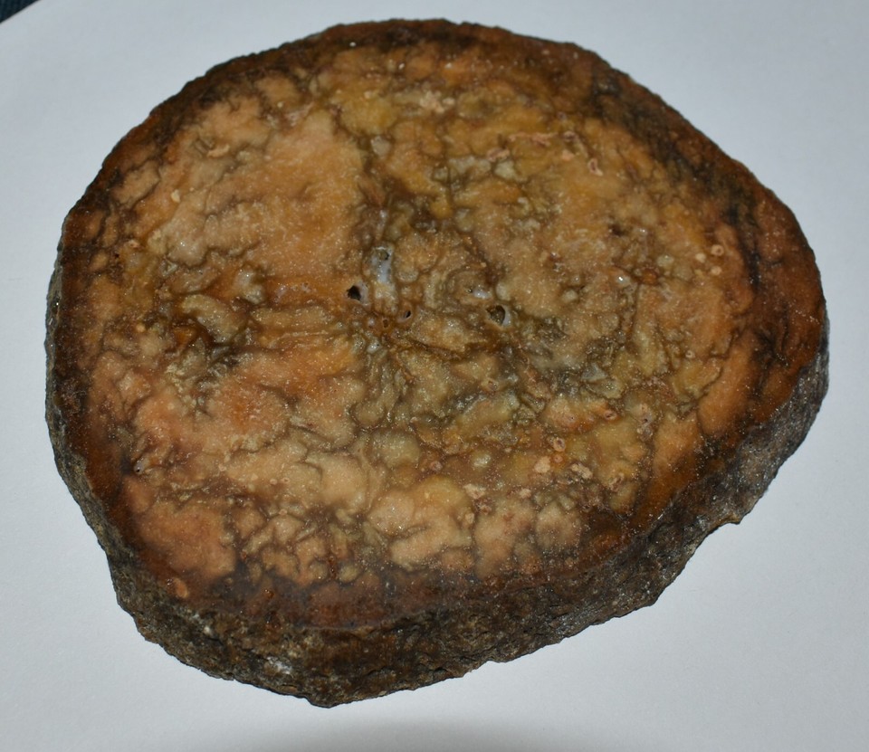 Brain Geode Slab Chalcedony with Drusy from North Carolina USA | eBay