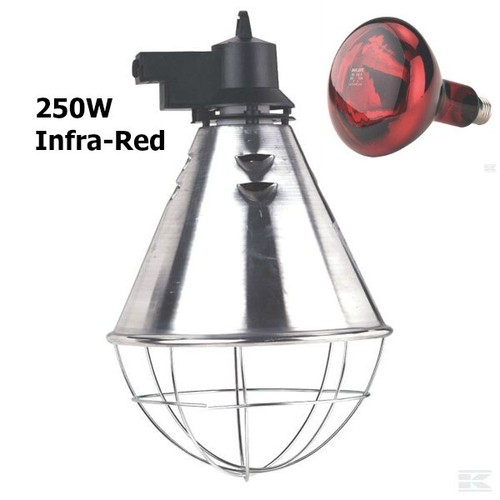 INFRA RED HEAT LAMP BULB Ruby 250w For Chicks Dogs Puppies Cats ...