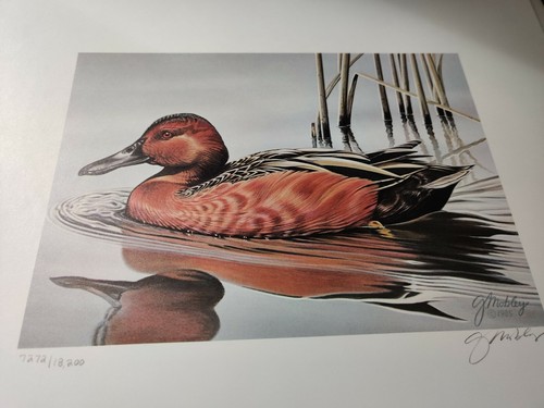 Federal Duck Stamp. Gerald Mobley 1985-86 14 x 12 inch signed numbered ...