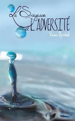 La sagesse et l'adversite by Yann Opsitch (French) Paperback Book ...