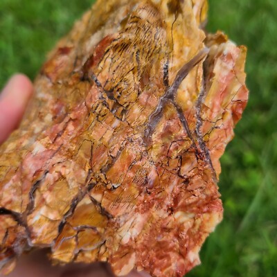 HOWARDITE LAPIDARY ROUGH FROM NEVADA 3lb 7.7OZ | eBay