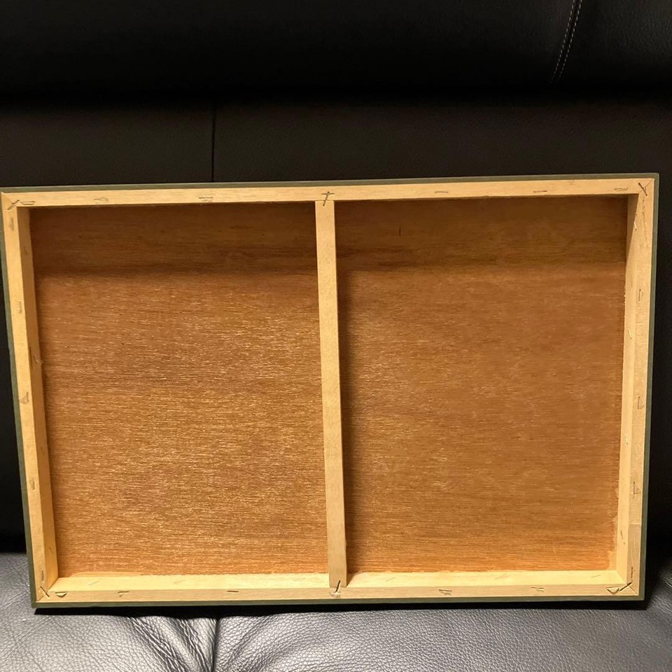 Pannello Poster Nissan Skyline GT-R R33 Altia Falken N1 Racing Made in ...