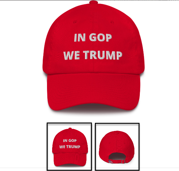 IN GOP WE TRUMP embroidered Text MAGA RED Hat USA Republican Campaign ...