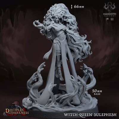 Death Cult Witch Queen Empowered Miniature Fits DND Pathfinder 66mm ...