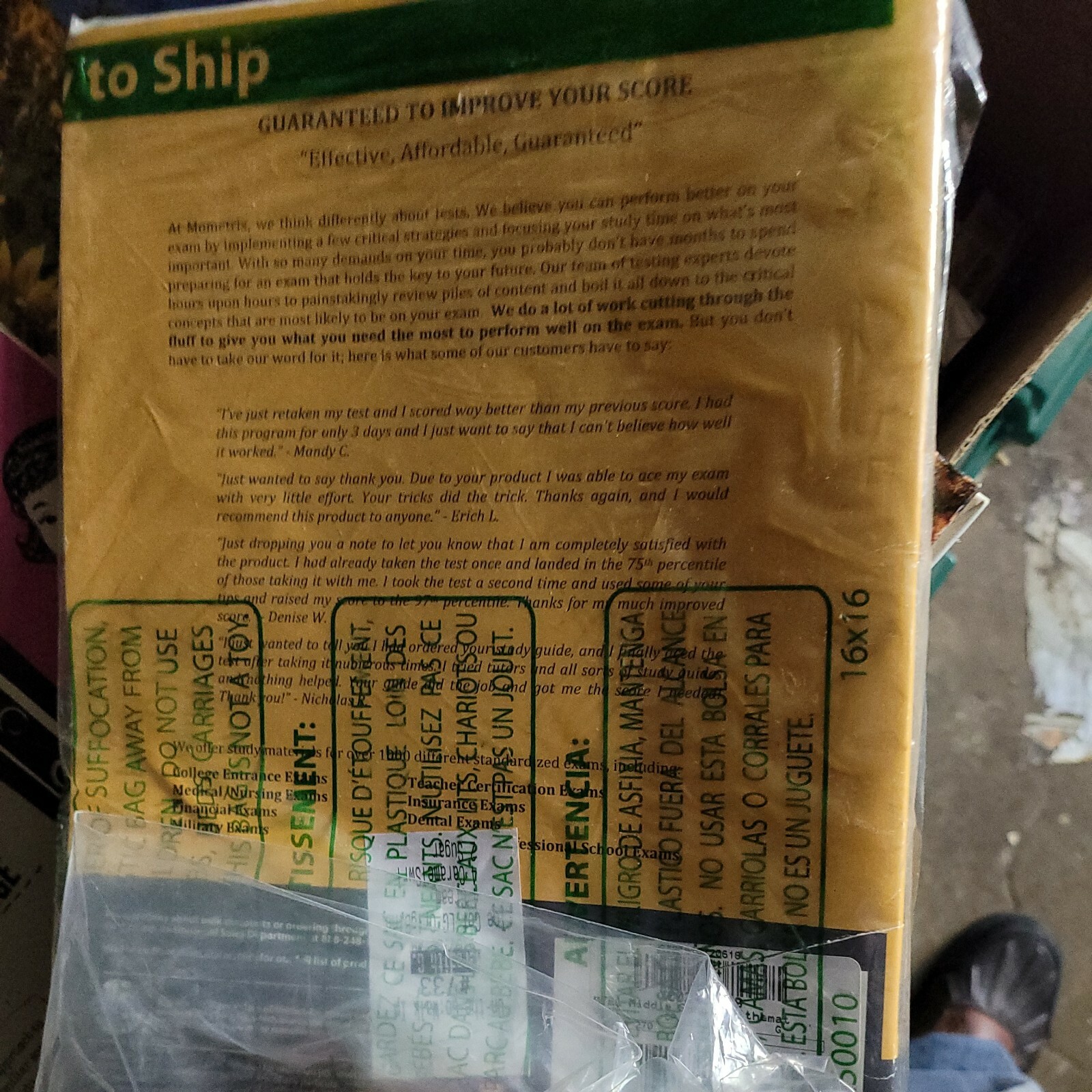 MTEL Early Childhood (02) Exam Secrets Study Guide : MTEL Test Review ...