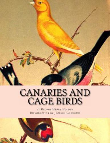 Canaries and Cage Birds : Canaries Book 1 by George Holden (2016, Trade ...