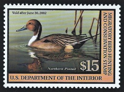 RW68 "NORTHERN PINTAIL" $15.00 FEDERAL DUCK STAMP MNH | eBay