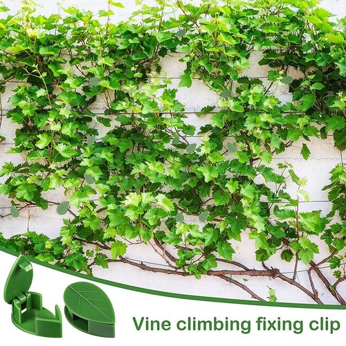 30-100PC Climbing Plant Wall Clips Invisible Fixture Hook Clip Vine ...