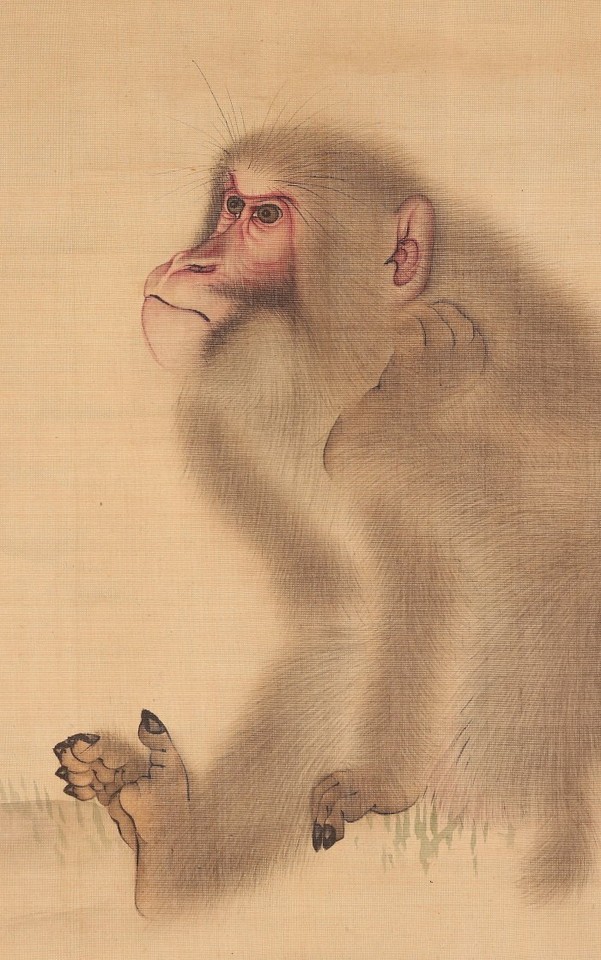 hp1237 Hanging Scroll "Monkey" by Mori Sosen | eBay