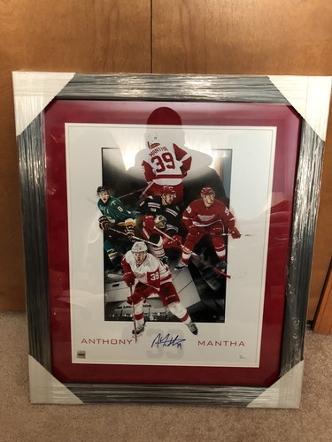 Anthony Mantha Signed/Autographed Framed 16x20 Photo JSA | eBay