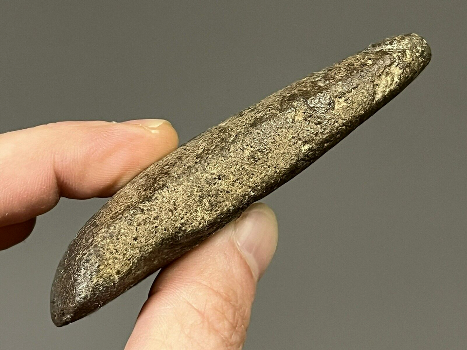 EXCEPTIONAL FACETED ADZE INDIANA AUTHENTIC ARROWHEADS INDIAN ARTIFACT ...