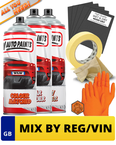 Aerosol Spray Paint Kit Mixed By Car Registration Reg VIN Plate Chassis ...
