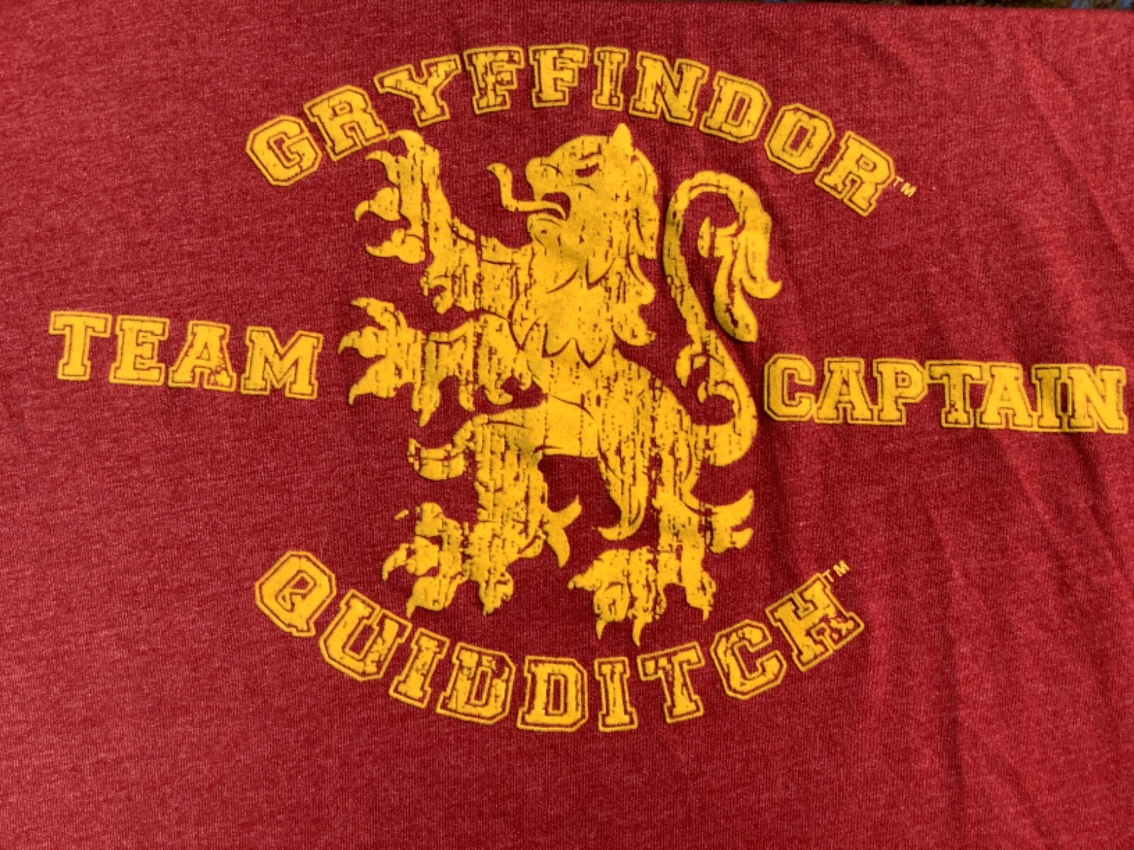 Gryffindor Quidditch Team Captain