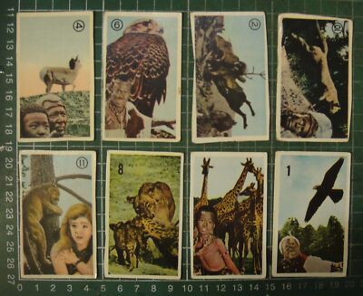 BS1-198) vintage 1960's Japan Menko Trading Cards ~ Kenya Boy (少年ケニヤ) x ...