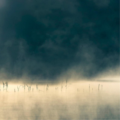 Oneirogen Convivium (Vinyl) 12" Album | eBay Australia