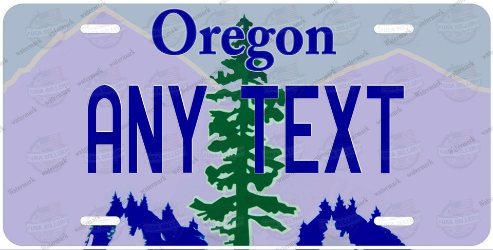 Personalized Custom License Plate Tag for Any State Wall Auto Car ...