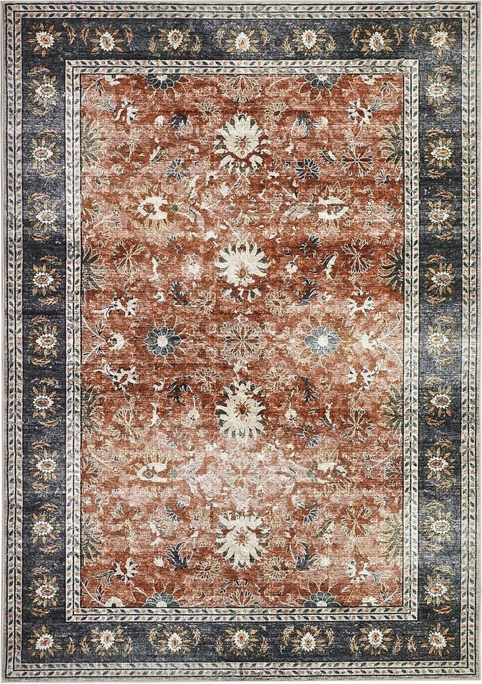 Rugs America Cora CL70A Boston Brick Transitional Vintage Area Rug 2'6 ...