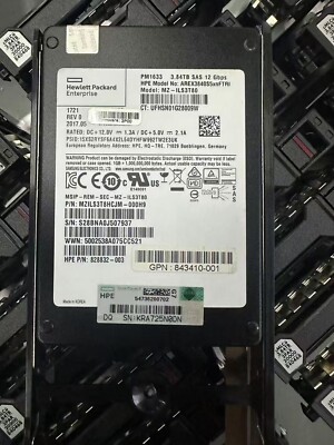 HPE 834449-001 843410-001 MZ-ILS3T80 828832-003 PM1633 3.84TB SAS SSD W ...