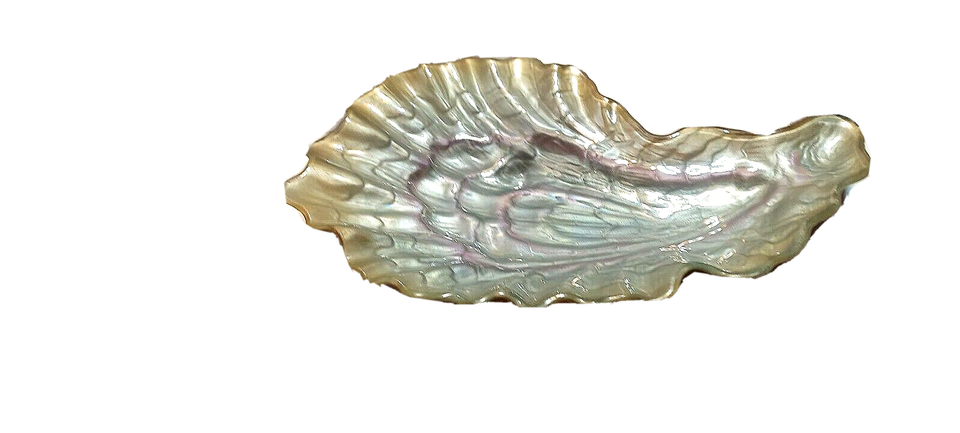 Mother of Pearl Sea Shell Shape Decorative Bowl | eBay