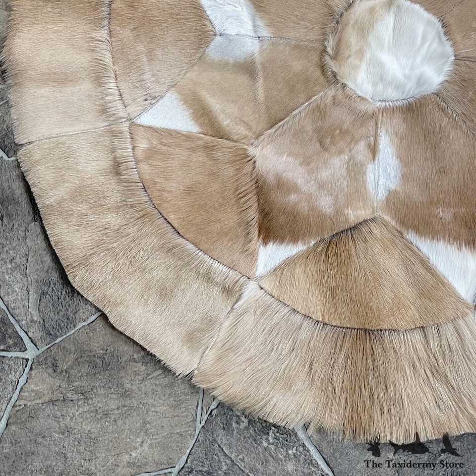 #27908 E+ | African Springbok Hide Taxidermy Throw For Sale | eBay