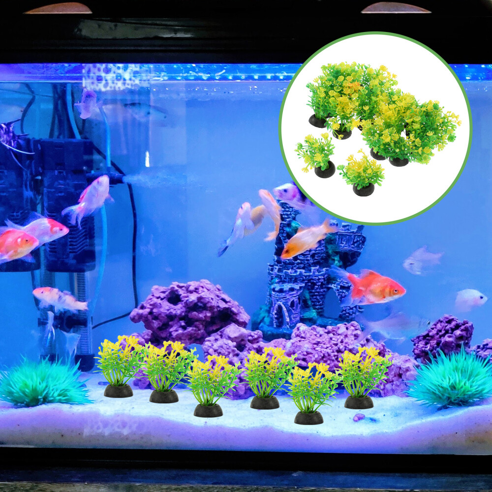 Small Plastic Fish Tank