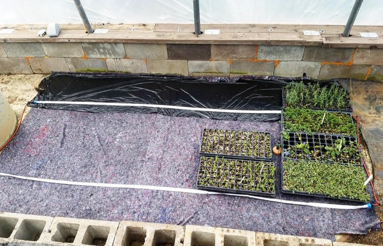 Capillary Mat System Kit (4'x8') - Automatic Water System for Seedlings ...