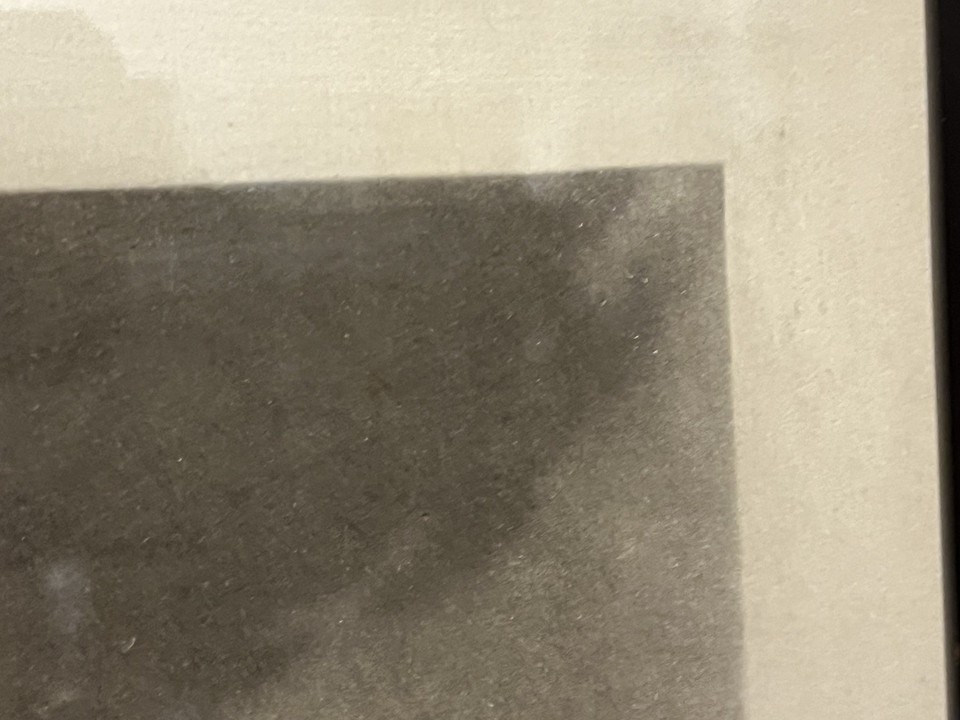 GEORGE CALEB BINGHAM’S “ORDER NO. 11” Rare Pencil Signed proof. Last ...