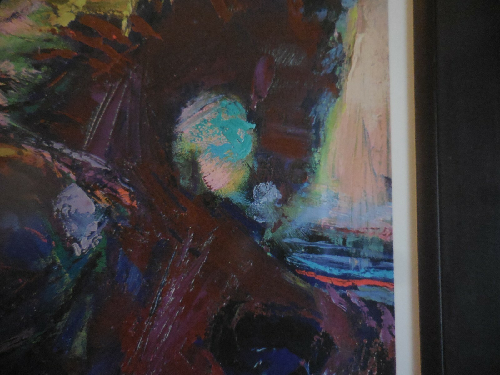 Limited Ed AP 1/5 Paint Embellished Lithograph "Rainbow Warrior" Robert ...