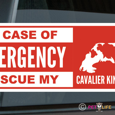 In Case of Emergency Rescue My Cavalier King James Sticker Vinyl - dog ...
