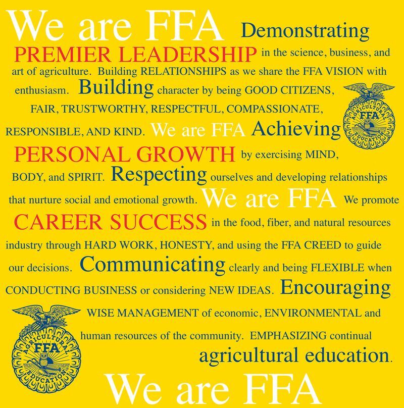 Ffa Scrapbook Paper