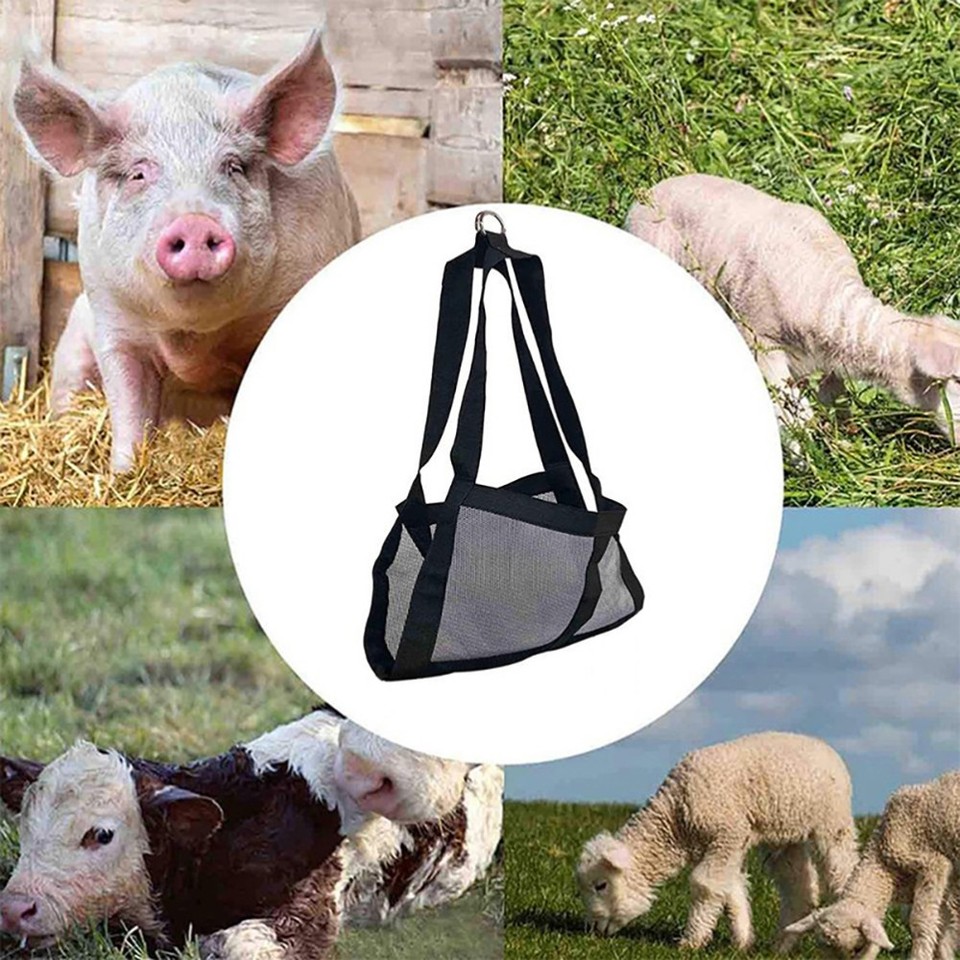 Livestock Suspension Tools Produce Scale Hanging Newborn Sheep Lifting ...