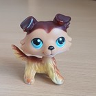 Lps Littlest Petshop Pop Figure Border Collie Sage Paws Down #58 Darker ...