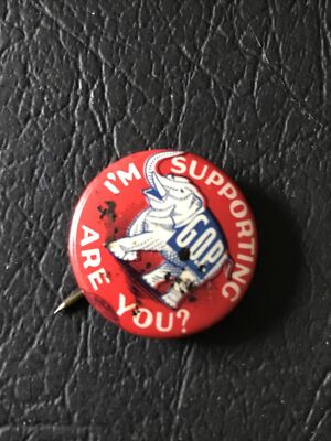 Republican I’m Supporting GOP Are You? PinBack political Button Pin ...