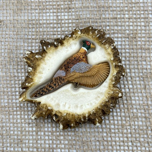 Unique Pheasant Display Pheasant Collector | eBay