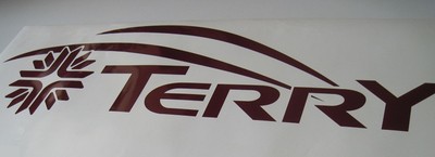 (ORIGINAL LOOK) TERRY FLEETWOOD DECALS STICKER RV CAMPER WHEEL TRAILER ...