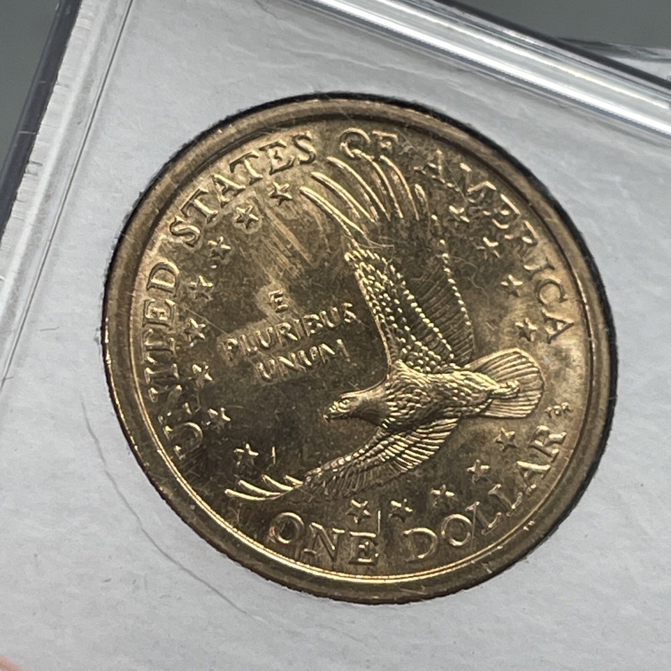 The Sacagawea 2000 P Dollar Coin -- Colorized in Case | eBay