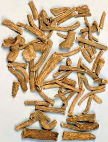 Pushkarmool root Dry, Inula racemosa Natural and Organic FREE SHIPPING ...