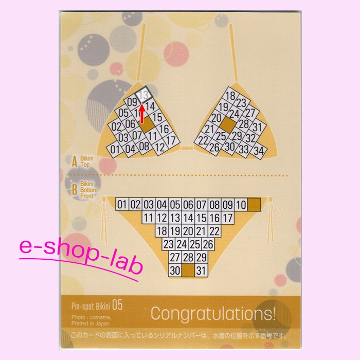 Mana Nomi Pinspo Bikini Card 05A 13/34 Top /Hit'S | eBay