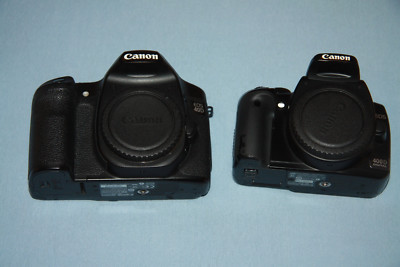 2x Digitalkamera Canon EOS 40D + 400D | eBay.de