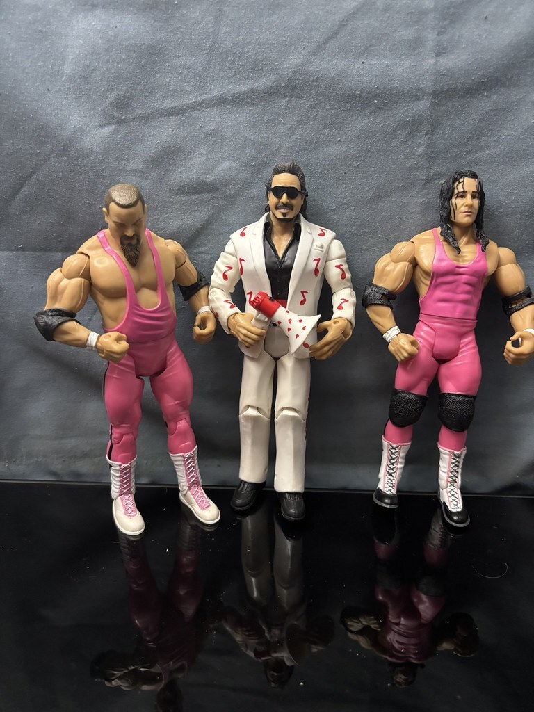 WWE Classic Superstars Hart Foundation Limited Edition Figure 3 Pack | eBay