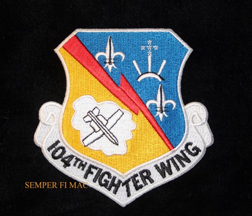 104TH FIGHTER WING HAT PATCH US AIR FORCE AFB BARNES ANG PIN UP F15 ...