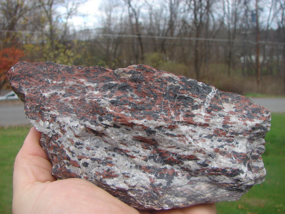Mylonite Rock